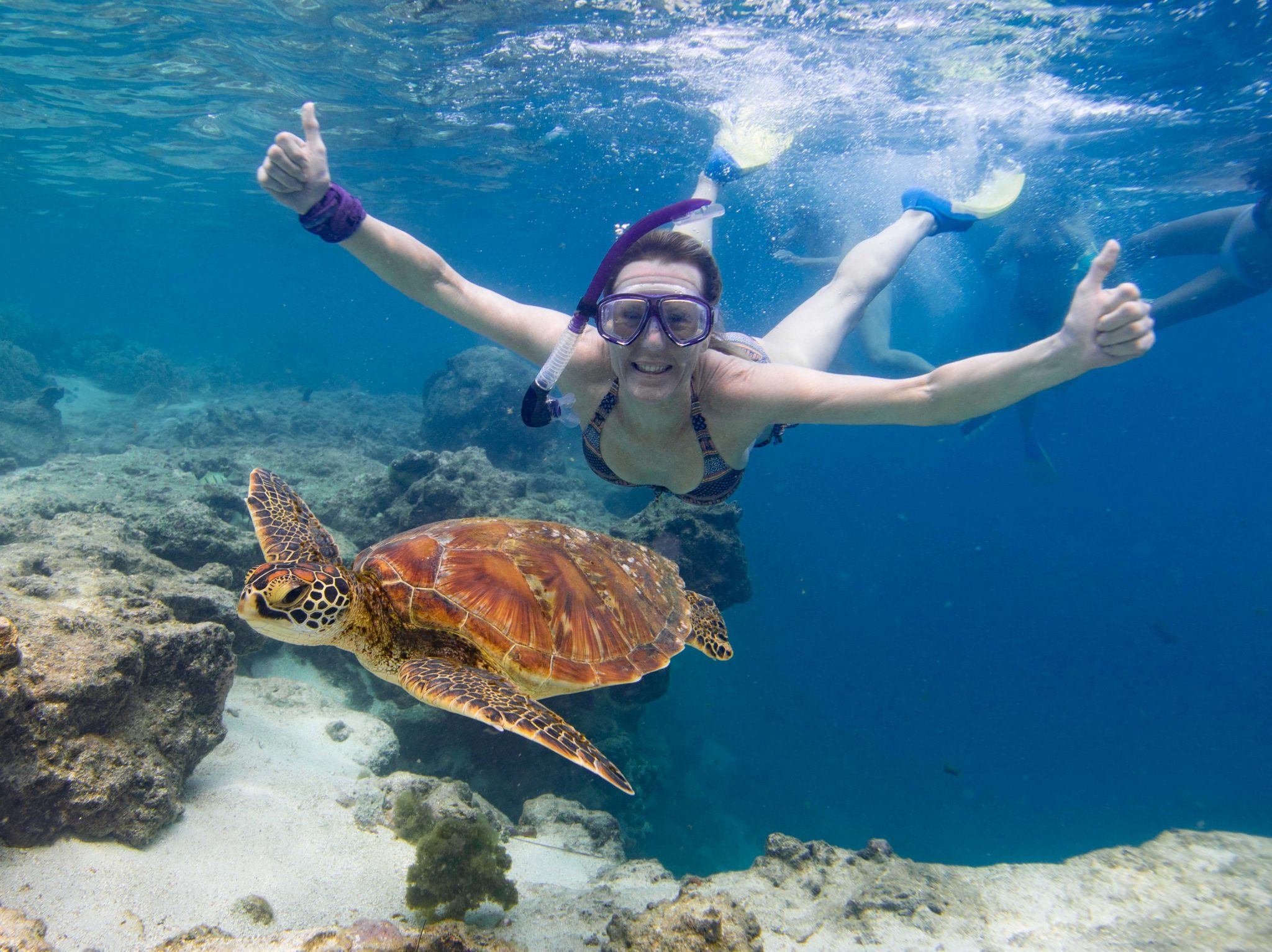 Swimming with Turtles Cook Islands - 10 reasons why you have to ...