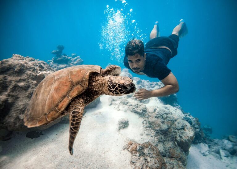 Cook Islands Family Turtle tours - charlottepiho.com