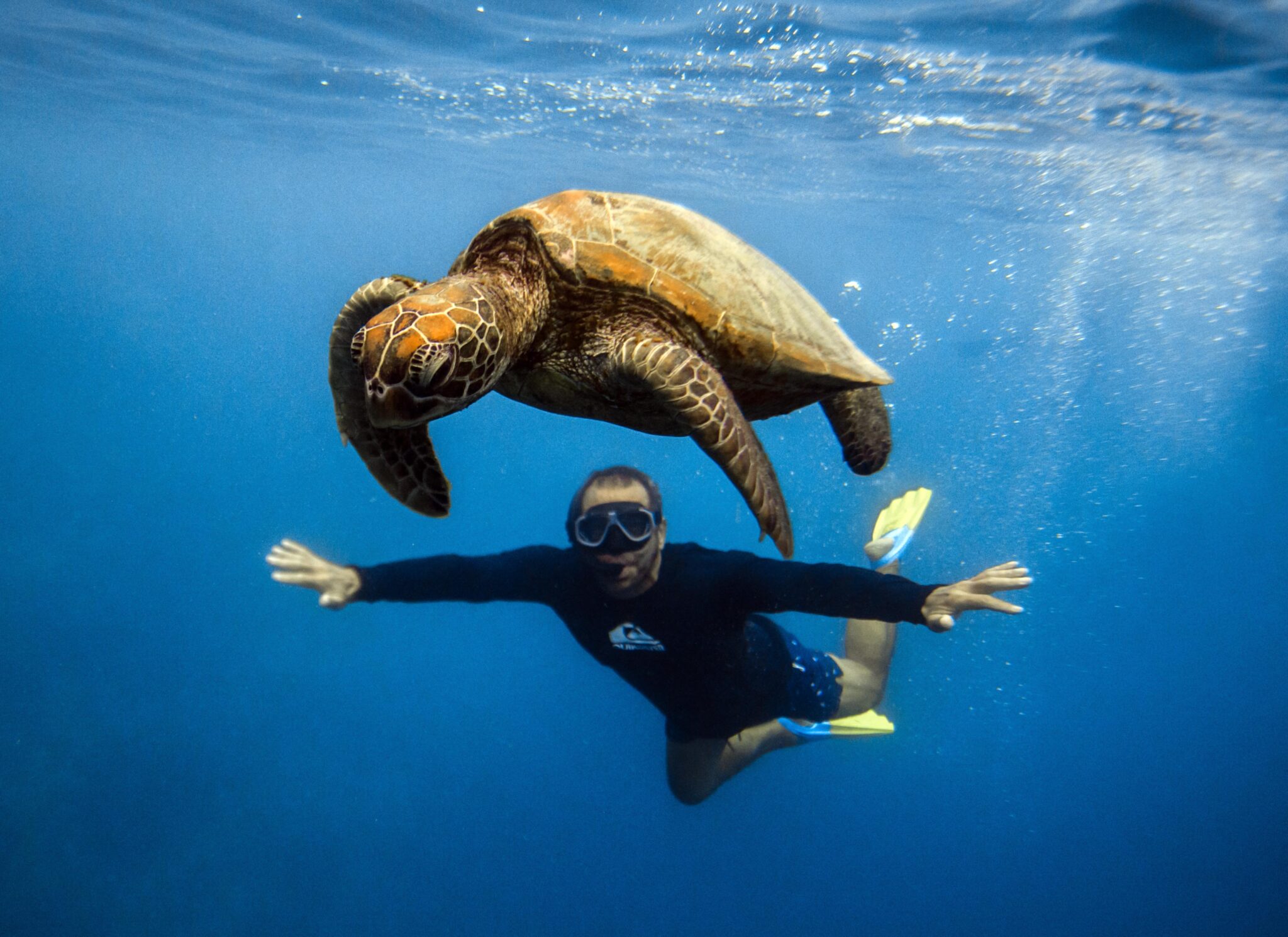 Swimming with Turtles Cook Islands - 10 reasons why you have to ...