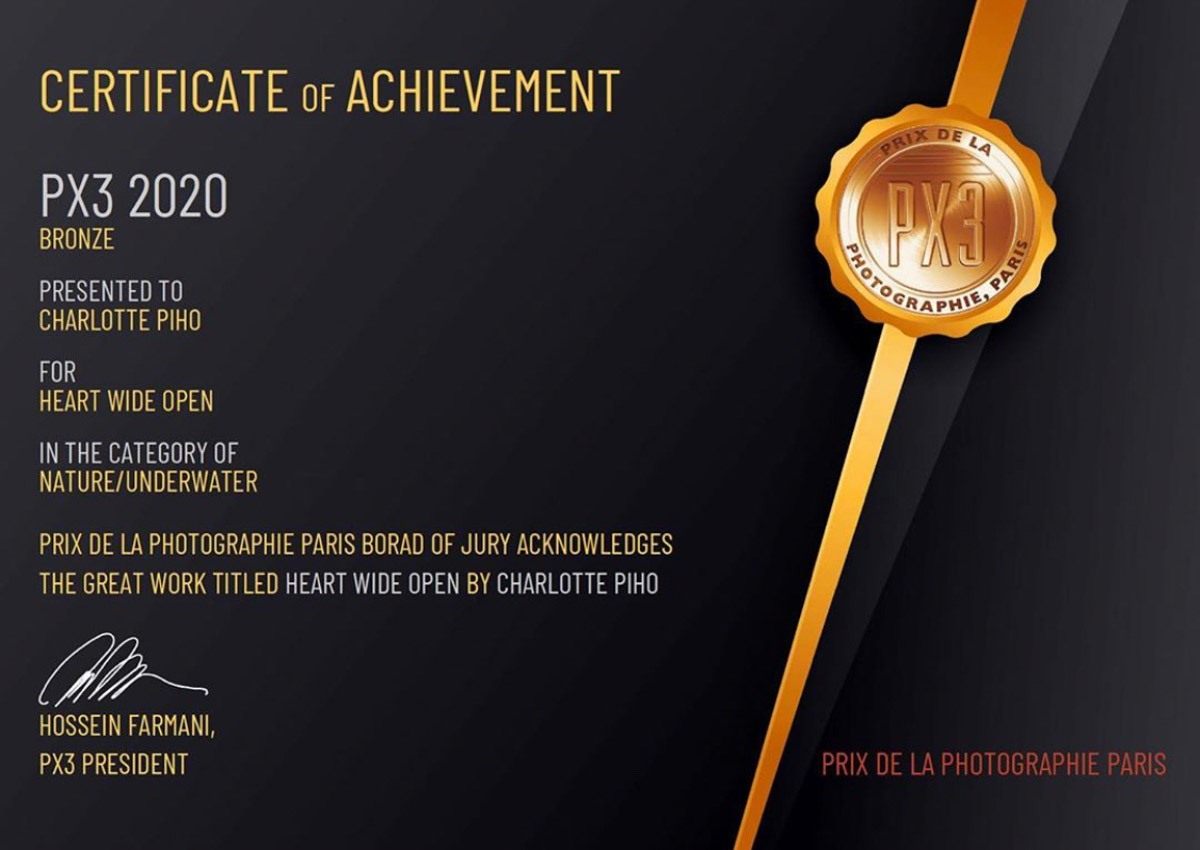 Multi-International award winning photographer - charlottepiho.com