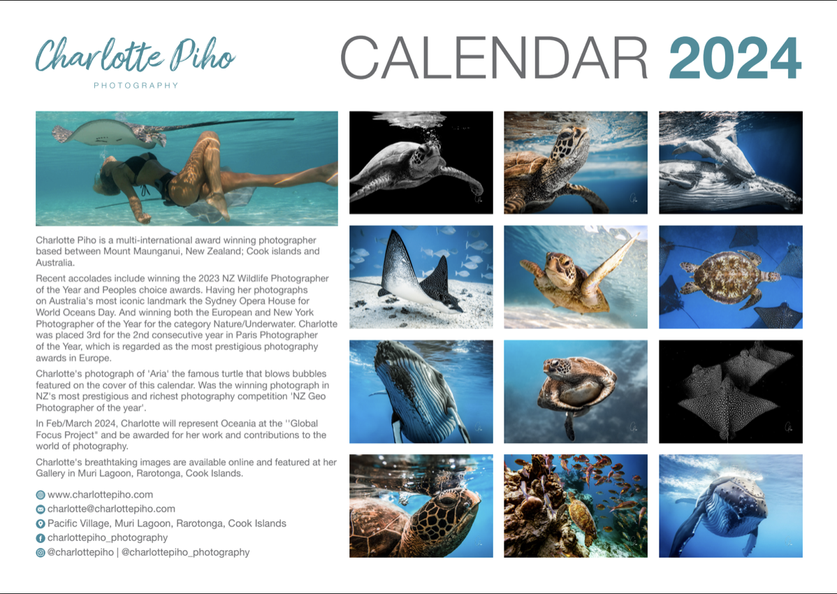 Oceania Calendar 2024 - charlottepiho.com